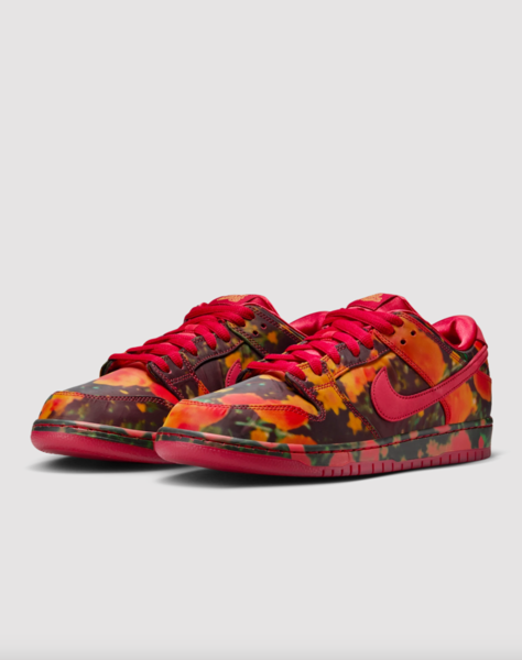 The_Wizard_of_Oz_Nike_SB_Dunk_